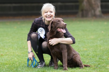 Tracey Brabin Mp Her Dog Rocky Editorial Stock Photo - Stock Image ...