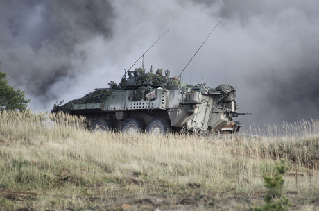 Canadian Army Armoured Personnel Carrier Lav Editorial Stock Photo ...