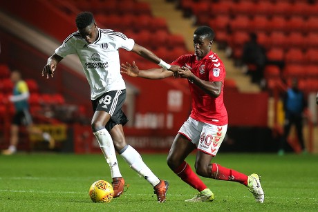 Elijah Adebayo Fulham Shields Ball Charltons Editorial Stock Photo ...
