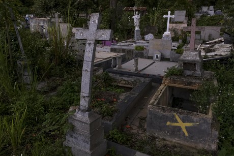 View Empty Grave General Cemetery South Editorial Stock Photo - Stock ...