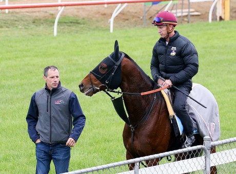 Trainer Iain Jardine His Melbourne Cup - Foto de stock de contenido ...