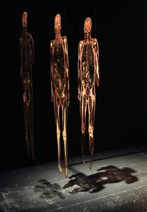 Body Worlds Exhibit Editorial Stock Photo - Stock Image | Shutterstock