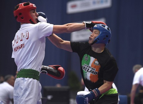 22 Kickbox Stock Pictures, Editorial Images and Stock Photos | Shutterstock