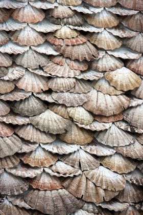 Shell Cottage Editorial Stock Photo - Stock Image | Shutterstock