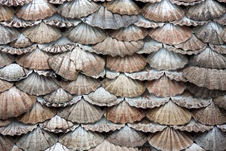 Shell Cottage Editorial Stock Photo - Stock Image | Shutterstock