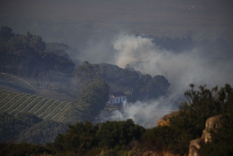 During Fire Burning Through Indigenous Fynbos Editorial Stock Photo ...