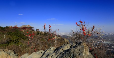 Autumn Scenery Beijing Fragrant Hills Park Editorial Stock Photo ...
