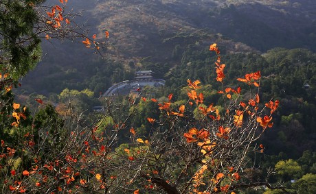 Autumn Scenery Beijing Fragrant Hills Park Editorial Stock Photo ...