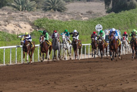 Gafel Ae Ridden By Pat Cosgrave Editorial Stock Photo - Stock Image ...