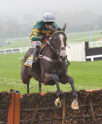 Cheltenham Races, Horse Racing, Cheltenham, UK - 18 Nov 2017 Stock ...