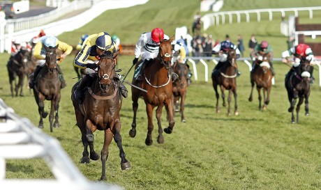 Melrose Boy Kieron Edgar Wins Velcourt Editorial Stock Photo - Stock ...
