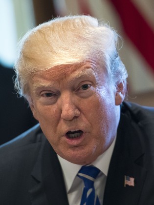 __COUNT__ Donald Trump cabinet meeting, Washington DC, USA - 20 Nov ...