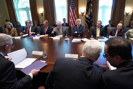 __COUNT__ Donald Trump cabinet meeting, Washington DC, USA - 20 Nov ...