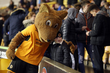 Young Wolverhampton Wanderers Fan Interacts Wolfie Editorial Stock ...