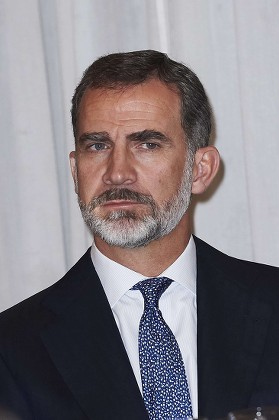 King Felipe Vi Editorial Stock Photo - Stock Image | Shutterstock