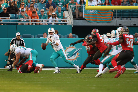 Jay Cutler 6 Miami Action During Editorial Stock Photo - Stock Image ...