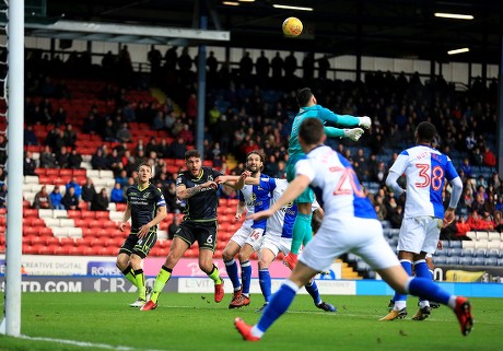 David Raya Blackburn Rovers Tips Away Editorial Stock Photo - Stock ...