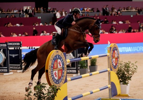Irish Rider Denis Lynch Riding All Editorial Stock Photo - Stock Image ...
