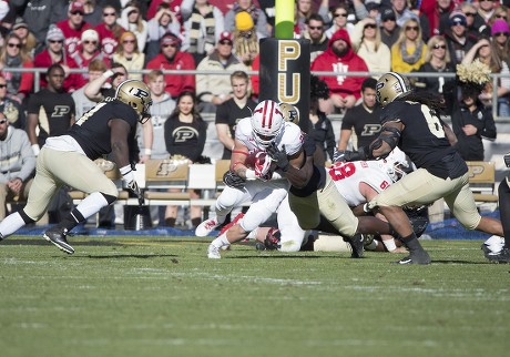 Indiana Running Back Cole Gest 20 Editorial Stock Photo - Stock Image ...