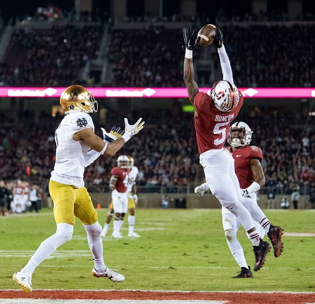 Stanford Cardinal Safety Frank Buncom 5 Editorial Stock Photo - Stock ...