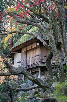 Thatched Roof Tea House Japanese Garden Editorial Stock Photo - Stock ...