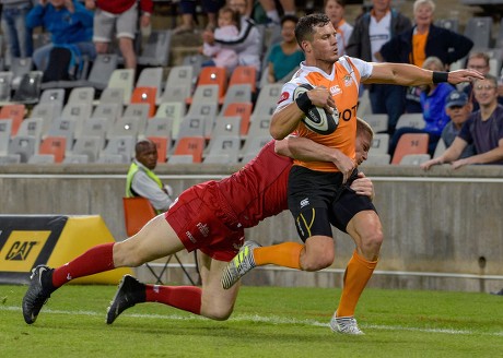 Toyota Cheetahs Vs Scarlets Cheetahs Shaun Editorial Stock Photo ...