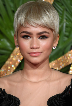 750 British short hair Stock Pictures, Editorial Images and Stock ...