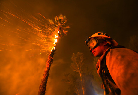 43 Santa paula fire Stock Pictures, Editorial Images and Stock Photos ...