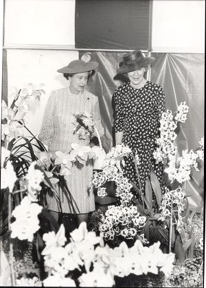 Queen Elizabeth Ii Countess Cromer Display Editorial Stock Photo ...