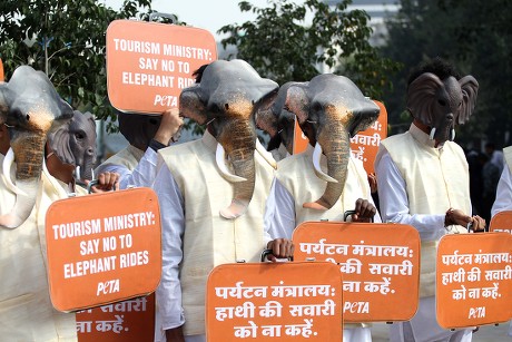 Peta Members Holding Signs That Read Editorial Stock Photo - Stock ...