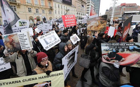 Croatian Citizens Take Part Protest March Editorial Stock Photo - Stock ...