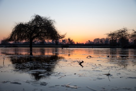 30 Bushy area Stock Pictures, Editorial Images and Stock Photos ...