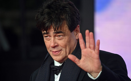 Puerto Rican Actor Benicio Del Toro Editorial Stock Photo - Stock Image ...