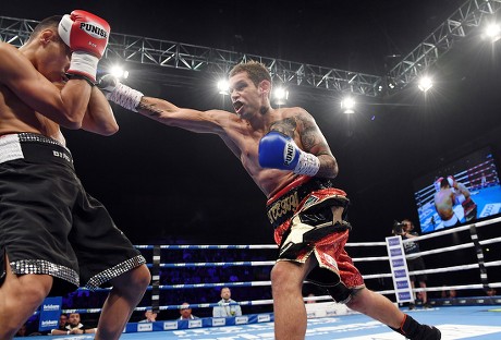 Nathaniel May Australia R Fights Aelio Editorial Stock Photo - Stock Image | Shutterstock