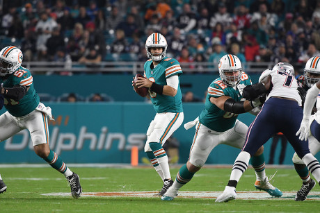 Jay Cutler 6 Miami Action During Editorial Stock Photo - Stock Image ...
