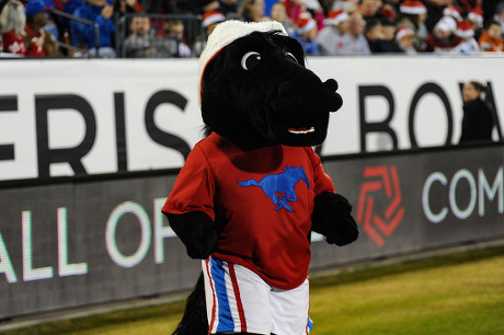 Southern Methodist Mustangs Mascot During 1st Editorial Stock Photo ...
