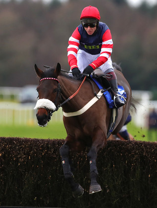 Exeter Races, Exeter, UK - 21 Dec 2017 Stock Pictures, Editorial Images ...