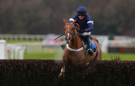 Exeter Races, Exeter, UK - 21 Dec 2017 Stock Pictures, Editorial Images ...