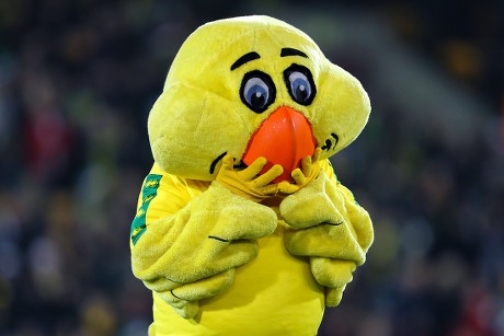 Norwich City Club Mascot Captain Canary Editorial Stock Photo - Stock ...