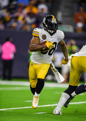 Pittsburgh Steelers Running Back Stevan Ridley Editorial Stock Photo ...