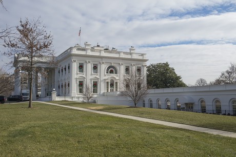 Oldest White House Tree Planted By Editorial Stock Photo - Stock Image ...
