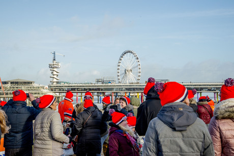 Traditional New Year's Day Swim, Scheveningen, Netherlands - 01 Jan ...
