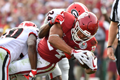 73 Dominick sanders Stock Pictures, Editorial Images and Stock Photos ...