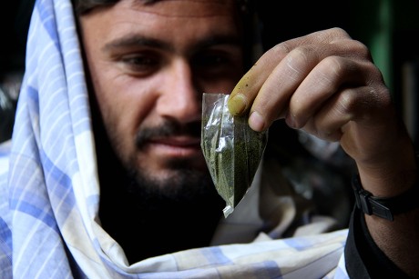 __COUNT__ Making Naswar in Kandahar, Afghanistan - 06 Jan 2018 Stock ...