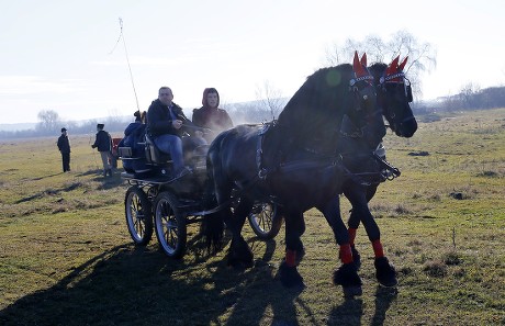 250 Horse pulled cart Stock Pictures, Editorial Images and Stock Photos ...