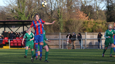 Pam Mcroberts Crystal Palace Ladies On Editorial Stock Photo - Stock ...
