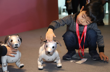 Launch Sony Robot Dog Aibo Ers1000 Editorial Stock Photo - Stock Image ...