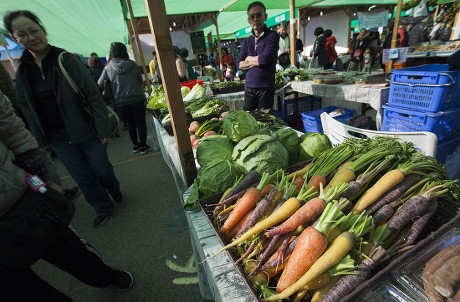 Farm Trader Sells Locally Grown Vegetables Editorial Stock Photo ...