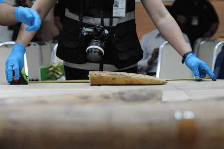 Thai Forensic Science Police Takes Measurements Editorial Stock Photo ...
