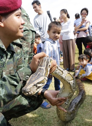 Thai Soldier Holds Python Snake During Editorial Stock Photo - Stock ...